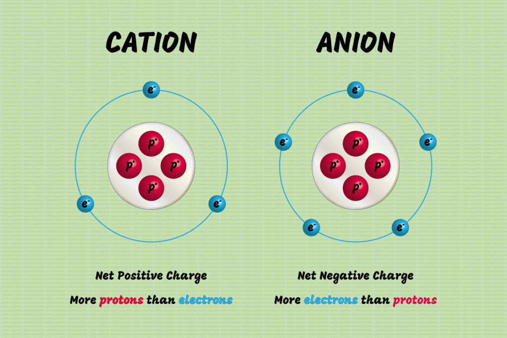 Anion là gì? Khám phá về Ion mang Điện tích Âm - Primer