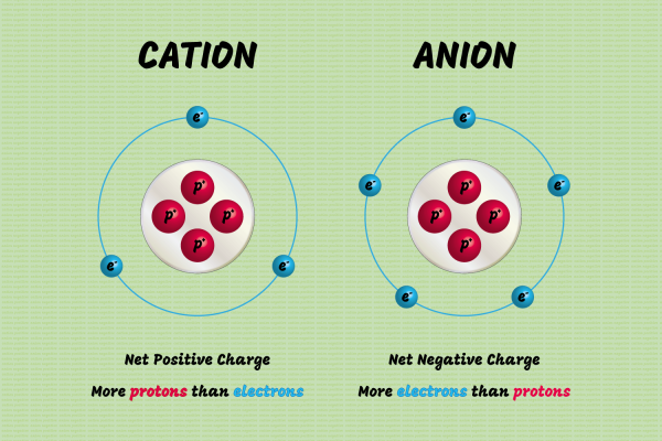 Anion là gì? Khám phá về Ion mang Điện tích Âm - Primer