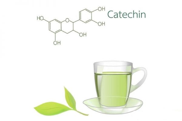 Catechin là gì? Catechin trong trà xanh có tác dụng gì? - Primer